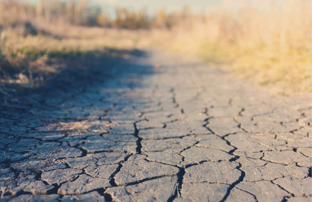 The World Has Lost 33% of Its Farmable Land - Future of Life Institute
