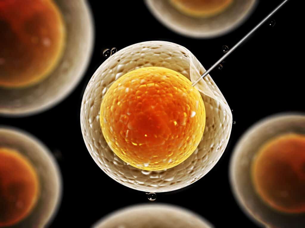 X-risk News of the Week: Human Embryo Gene Editing - Future of Life ...